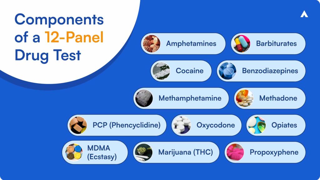 12-Panel Drug Screening: All You Need To Know